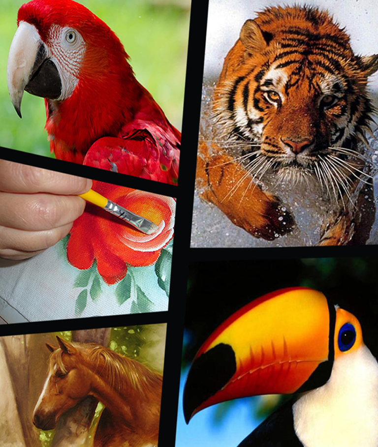 Receba uma aula grátis desenho e pintura em Guarlhos - Curso de Desenho e Pintura em Guarulhos